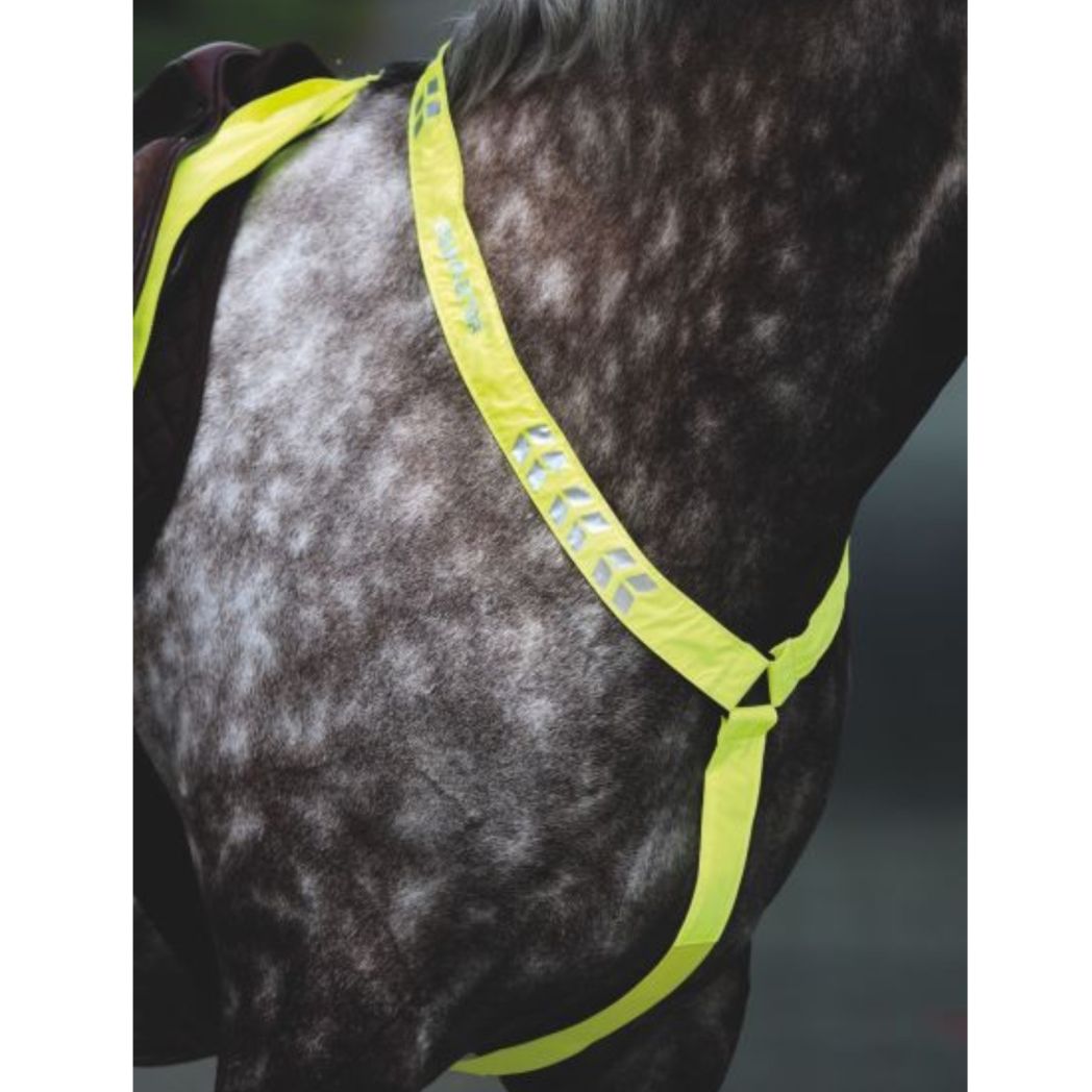 Equi-Flector Breastplate – EJ Wicks
